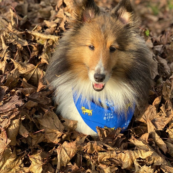 Puppy Beans - Collie | Sheltie | Rough Collie Lassie | Enamel Pin - Etsy