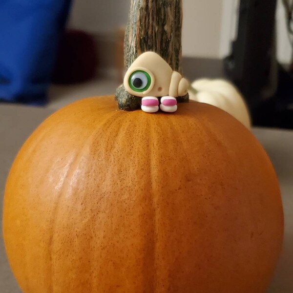 Marcel the Shell With Shoes on - Polymer Clay - Etsy