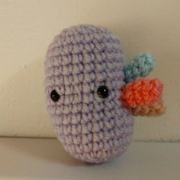 Kidney Keychain Crochet PATTERN ONLY! PDF Download Amigurumi Beginner ...