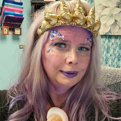 30 Zebra Top Seashells Seashells Australian Seashells Seashell Craft ...