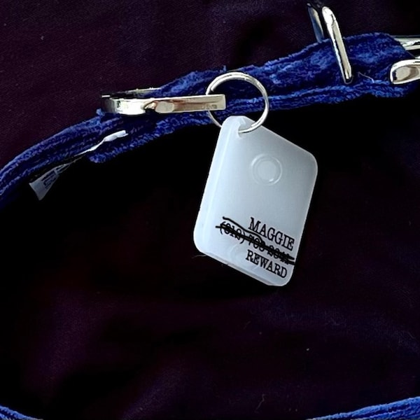 Frosted Dog Tag, Personalized Dog Tag, Dog Id Tag, Cat Name Tag, Pet ...