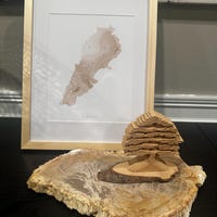 Lebanese Windows | Lebanese Stickers | Very Lebanese Sticker Pack ...