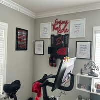 Merit & Demerit Adult BADGES PATCHES for Home Riders High - Etsy Canada