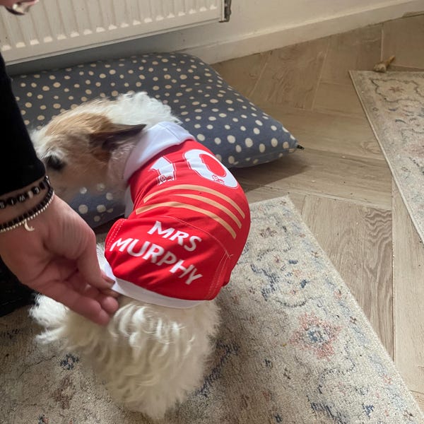 Liverpool FC -inspired Personalised Pet Tank Top With Original FC Logo ...