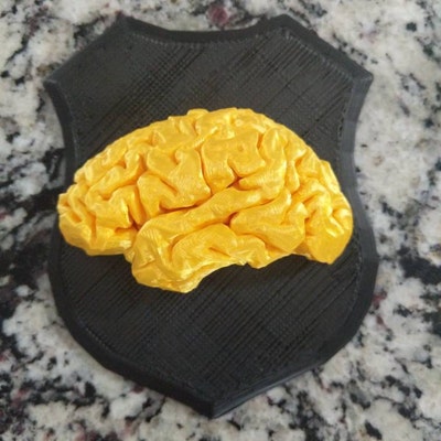 Brain Trophy / Intelligence Award / Smart Prize / Academic Trophy / 3D ...