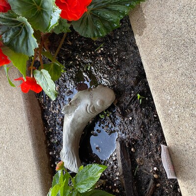 Cement 6 Long Fish Lot of 3 Garden Art Concrete Statue - Etsy