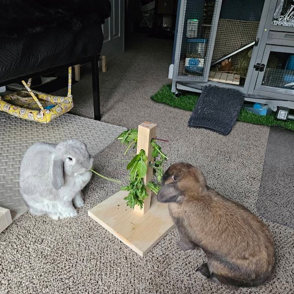 Bunny Lettuce Tree: Wood Foraging Toy, Rabbit Enrichment - Etsy