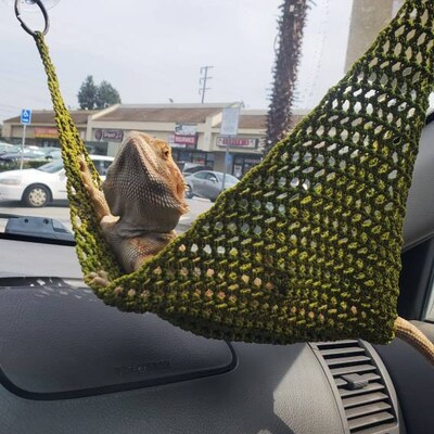 Colorful Reptile Hammock Reptile Lounger Reptile Swing Hammocks for ...