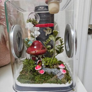 Jumping Spider Enclosure 5x5x9 Spider House, Spider Tank, Spider ...