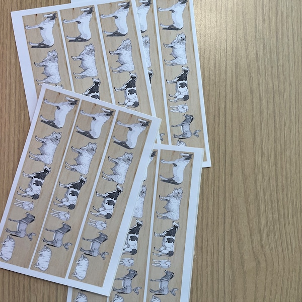 Cute Donkey Thank You Note Card Set Appreciation Cards Thank You Card ...