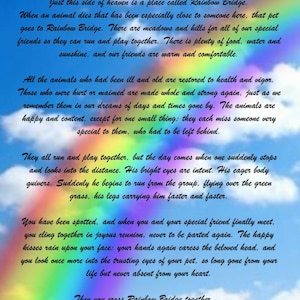 Rainbow Bridge Poem Pet Loss Memorial Bereavement Picture Dog Etc ...