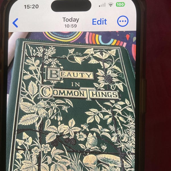 A History of Magic Book Bag, Wizard Book Purse, Spell Book Crossbody ...