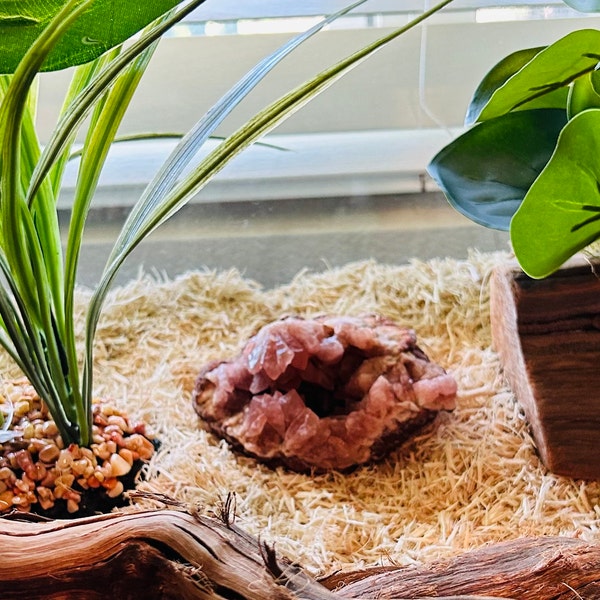 Black Obsidian Toothless Dragon Carving Crystal HTTYD Figurine #1 - Etsy