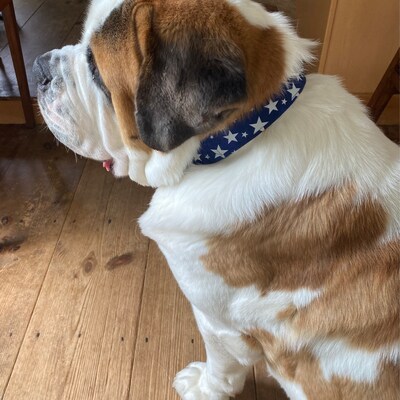 Aztec 2 Inch Dog Collar 1 Inch Wide Dog Collar Large Dog - Etsy