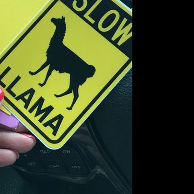 Phish Slow Llama Sticker - Etsy