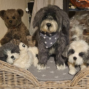 Puppy York Jemmy make to Order Portrait Pet , Handmade Animal by Photo ...