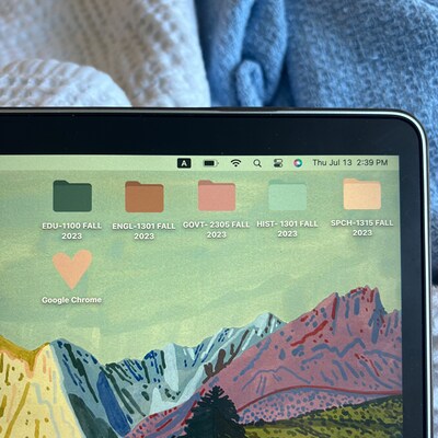 45 Cottagecore Icons, File Icons, Folder Icons, Mac, PC, Windows, Icons ...