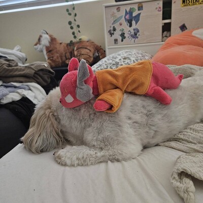 Rivulet Slugcat Inspired Plush please Read Description First - Etsy