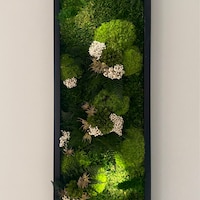 Delightful LED Lights Preserved Moss Wall Art Live Moss LED Home Décor ...