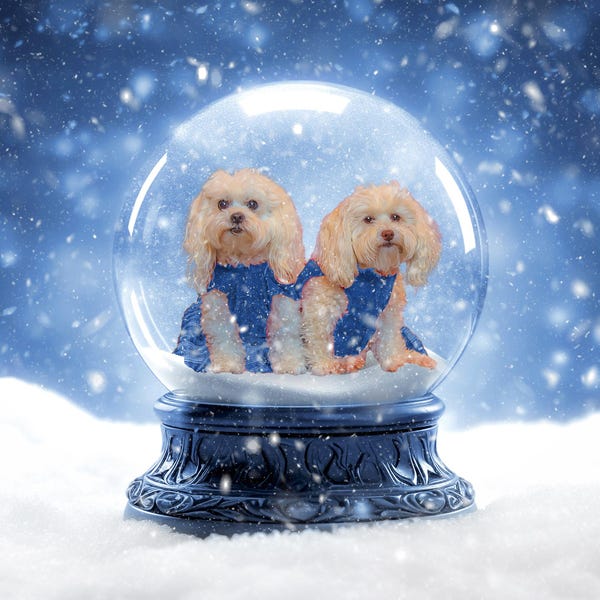 Autumn Overlays for Photoshop Digital Backdrop Autumn Leaves Overlay ...