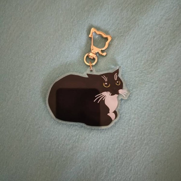 Neopets Colourful Kougras Tigers A5 Vinyl Sticker Sheet - Etsy