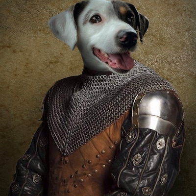 Custom Knight Pet Portrait . Custom Pet Knight Portrait . Classic Pet ...