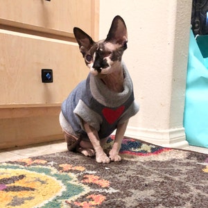 Kotomoda Shower Caps for Sphynx Cats and small pets 20pcs in a | Etsy