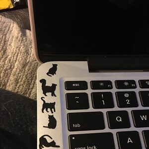 Cat Decals Cat Laptop Decals Tiny Black Cat Stickers Small | Etsy