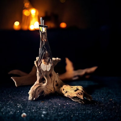 5 Spiders Scorpions Etc. Mounted Full Data Riker Measures 6 - Etsy