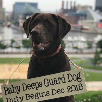Pregnancy Announcement Dog Sign Expecting Baby Guard Photo Prop Include ...