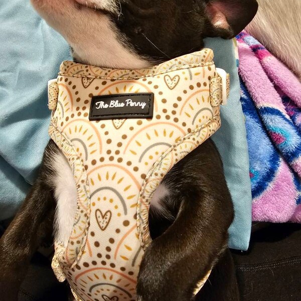 Boho Rainbow Dog Harness Cute Dog Harness & Leash Set Cute Dog Collar Boho Dog Collar XXS to ...