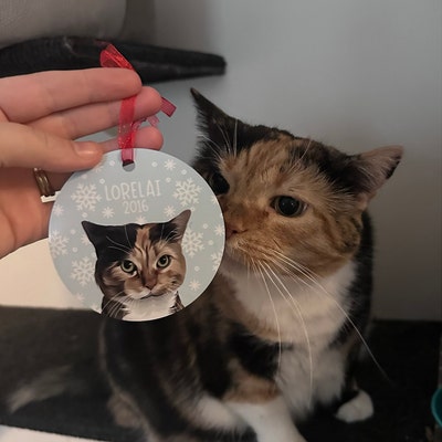 PRINTABLE Cockatiel Birthday Card Cockatoo Parrot Happy - Etsy