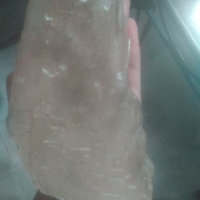 Edmontosaurus Metatarsal Foot Bone Cretaceus Glendive Montana - Etsy