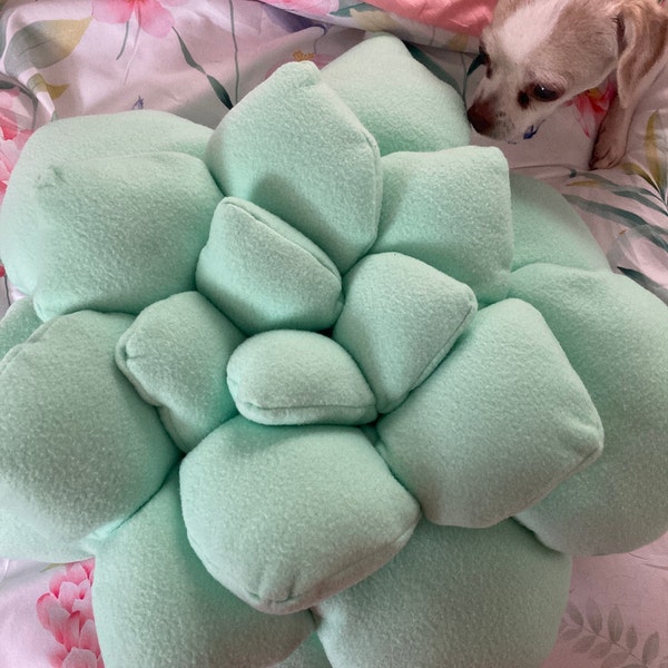 3D Succulent Pillow - Choose Your Color - Throw Pillow, Succulent ...