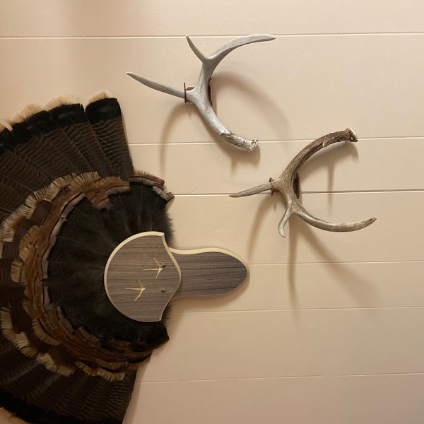 No Drill Shed Antler Mount Hanger Deer- Antlers NOT Included - Etsy