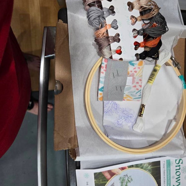 Loon Embroidery Kit, Complete Kit, Detailed Instructions, DMC Floss ...