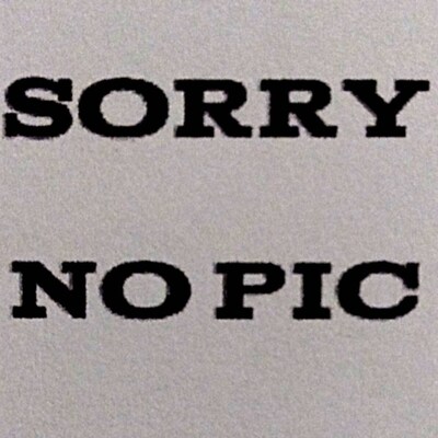 Dollhouse Wallpaper Lion and Dove With Briar Rose Bradbury & - Etsy