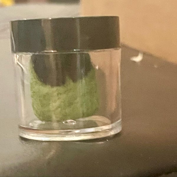 Adopt an Alien, Spooky Cryptid Gift Idea, Halloween Decoration, Cute ...