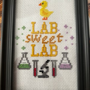 Lab Sweet Lab Science Lab Cross Stitch Pattern Perfect for Science ...