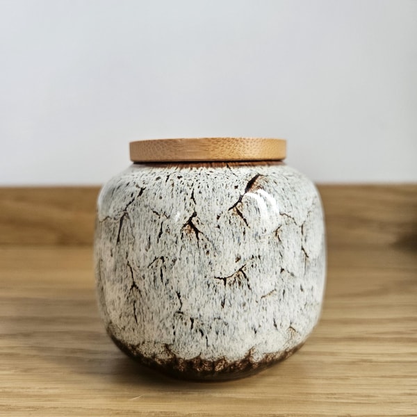 Custom Mini Ceramic Urn, Unique Dog Ashes for Memory Pot, Small Urn for ...