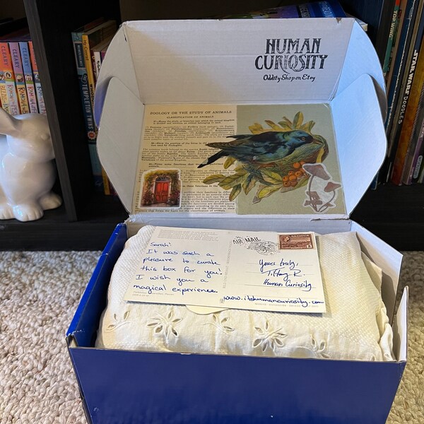 Vintage Mystery Rummage Box - Etsy