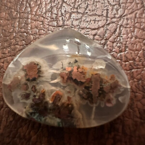 Coral Fossil Lotus Flower Pair - Teardrop Pair - Coral Agate - Agatized ...