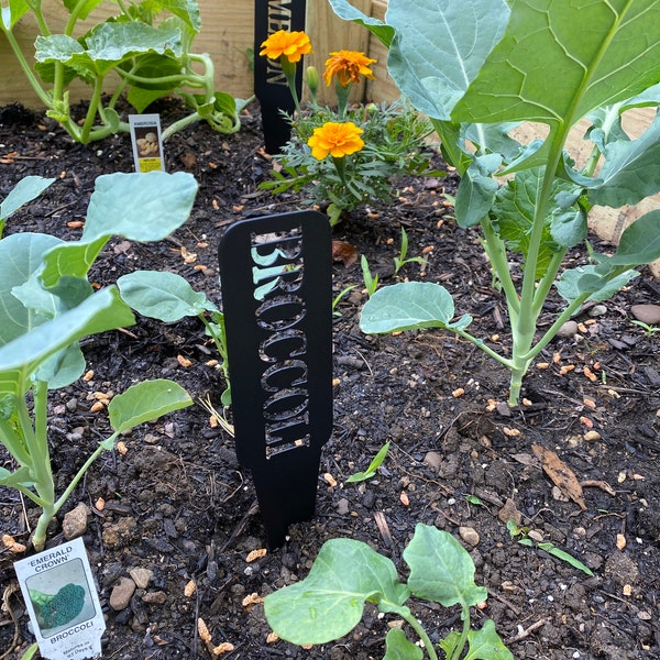 Metal Garden Stake for Vegetables, Vegetable Name Tags | Large Custom ...