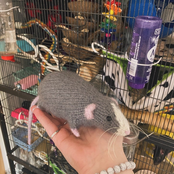 Knitted Realistic Rat Toy * Custom Rat Replica as Pet Memorial Gift - Etsy