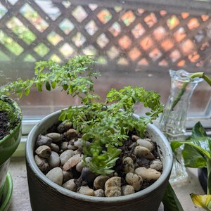 Filipino Food Word Search, Tagalog Printable Activity, Kids Word Games ...