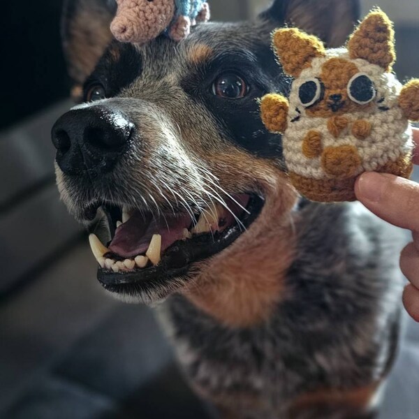 Crochet Poogie Amigurumi Monster Hunter - Etsy