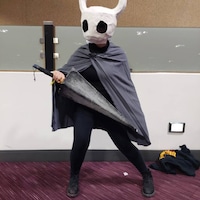 Hollow Knight Papercraft Template A4 - Etsy Canada