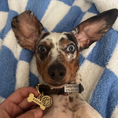 Personalized Bolt Dog Tag ID for Dog Collar Tag With Stamped Front Name ...