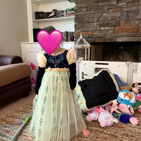 Enchanted Rose Princess Dress - Etsy