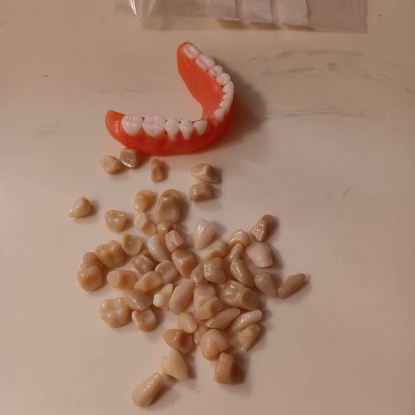 28 Acrylic Denture Teeth - Etsy